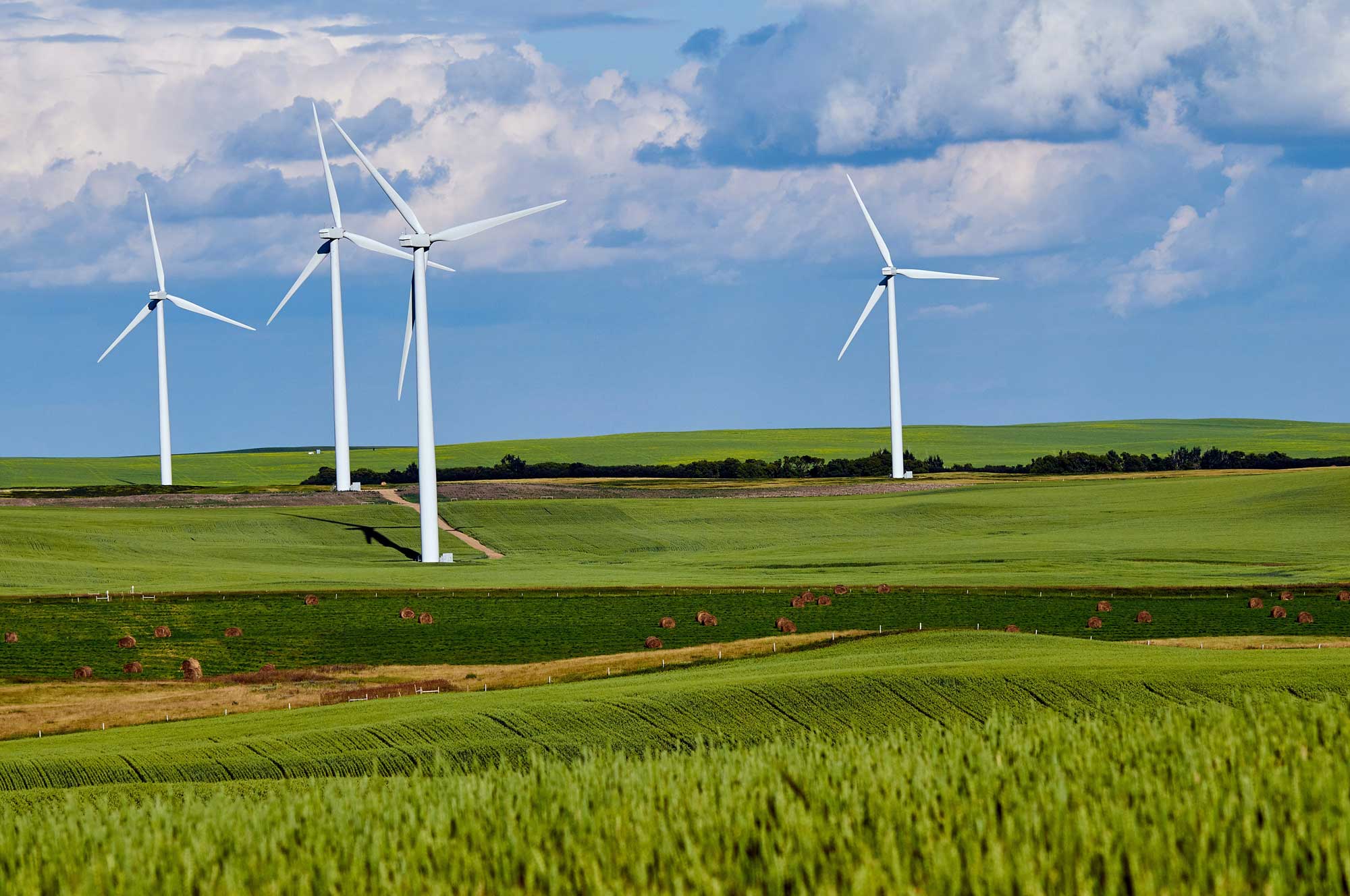 Picturing A Sustainable Energy Future Student Energy picturing-a-sustainable-energy-future-student-energy