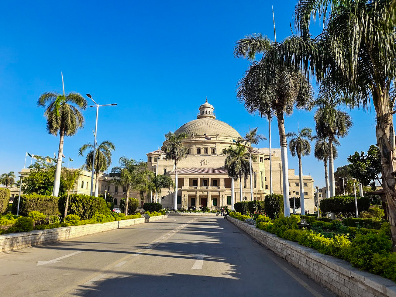 Cairo University — Student Energy