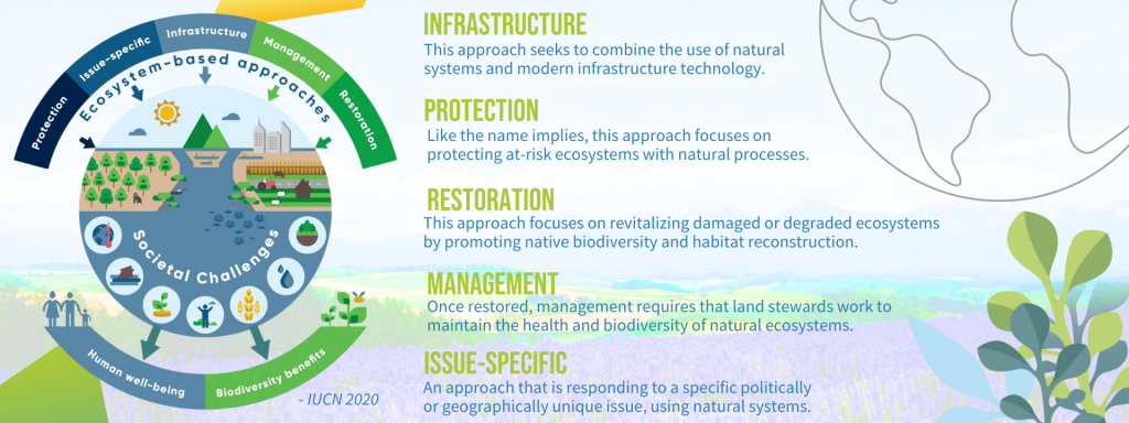 Energy 101: Nature-based Solutions — Student Energy