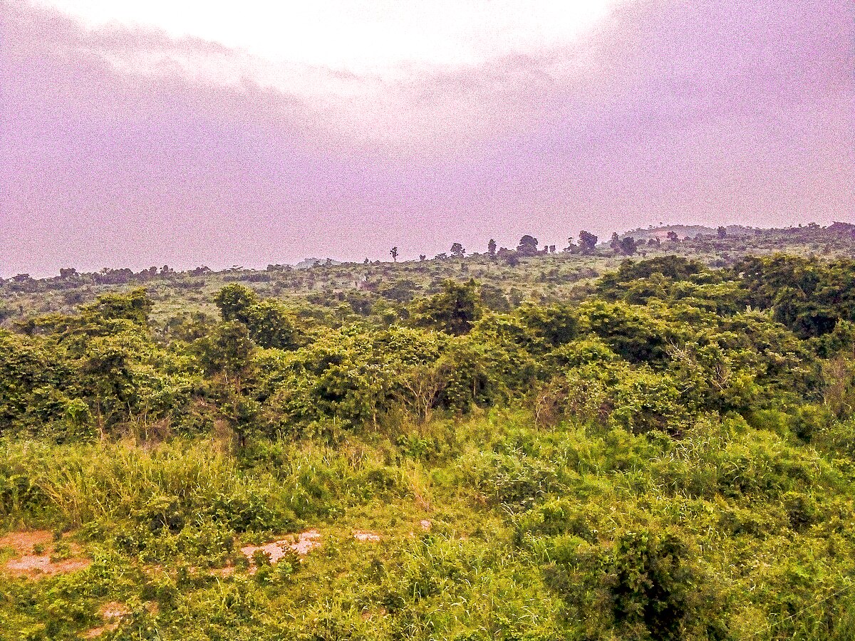 First Technical University, Ibadan – Tech-U, Ibadan — Student Energy